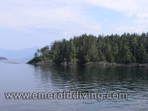 Emerald Diving: Nautilus 6.09